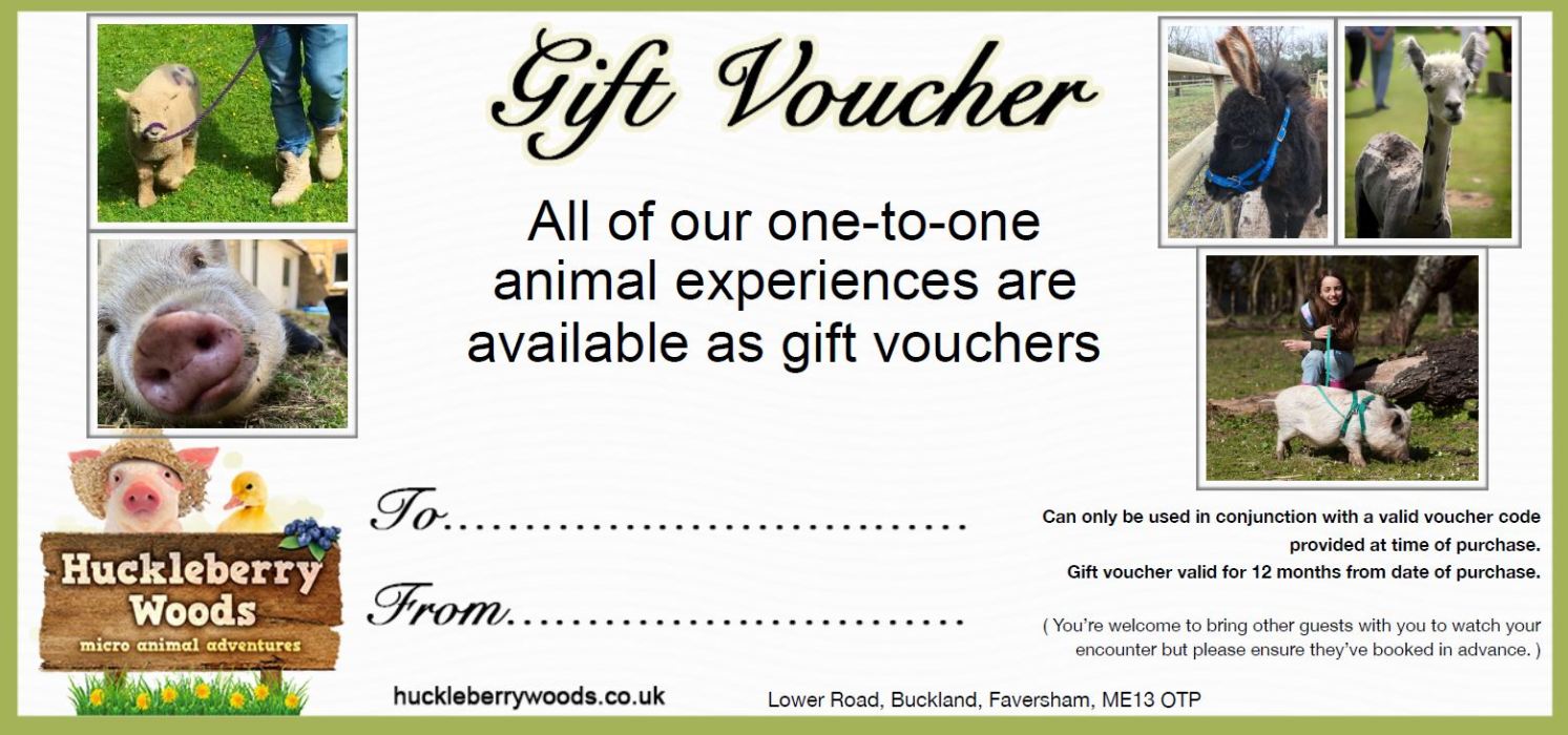 Gift Cards & Vouchers | Huckleberry Woods